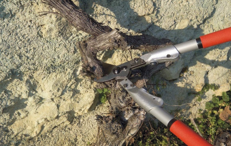 Best Professional Loppers 2020 Reviews, Ratings & Comparisons