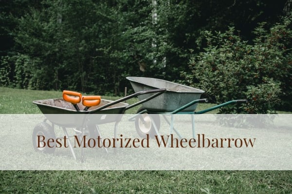 Best Motorized Wheelbarrow 2026 Reviews, Ratings & Comparisons