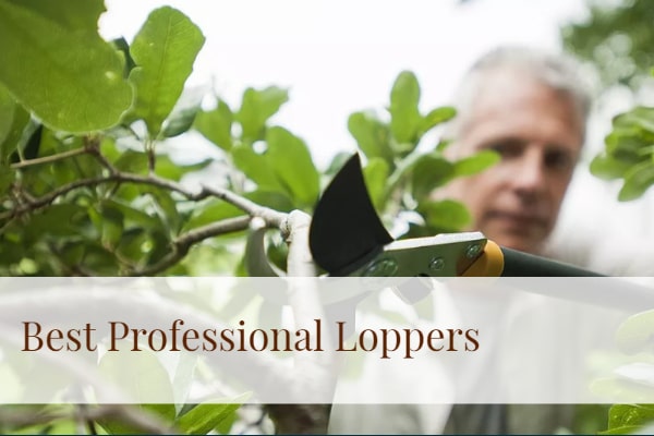 Best Professional Loppers 2024 Reviews, Ratings & Comparisons